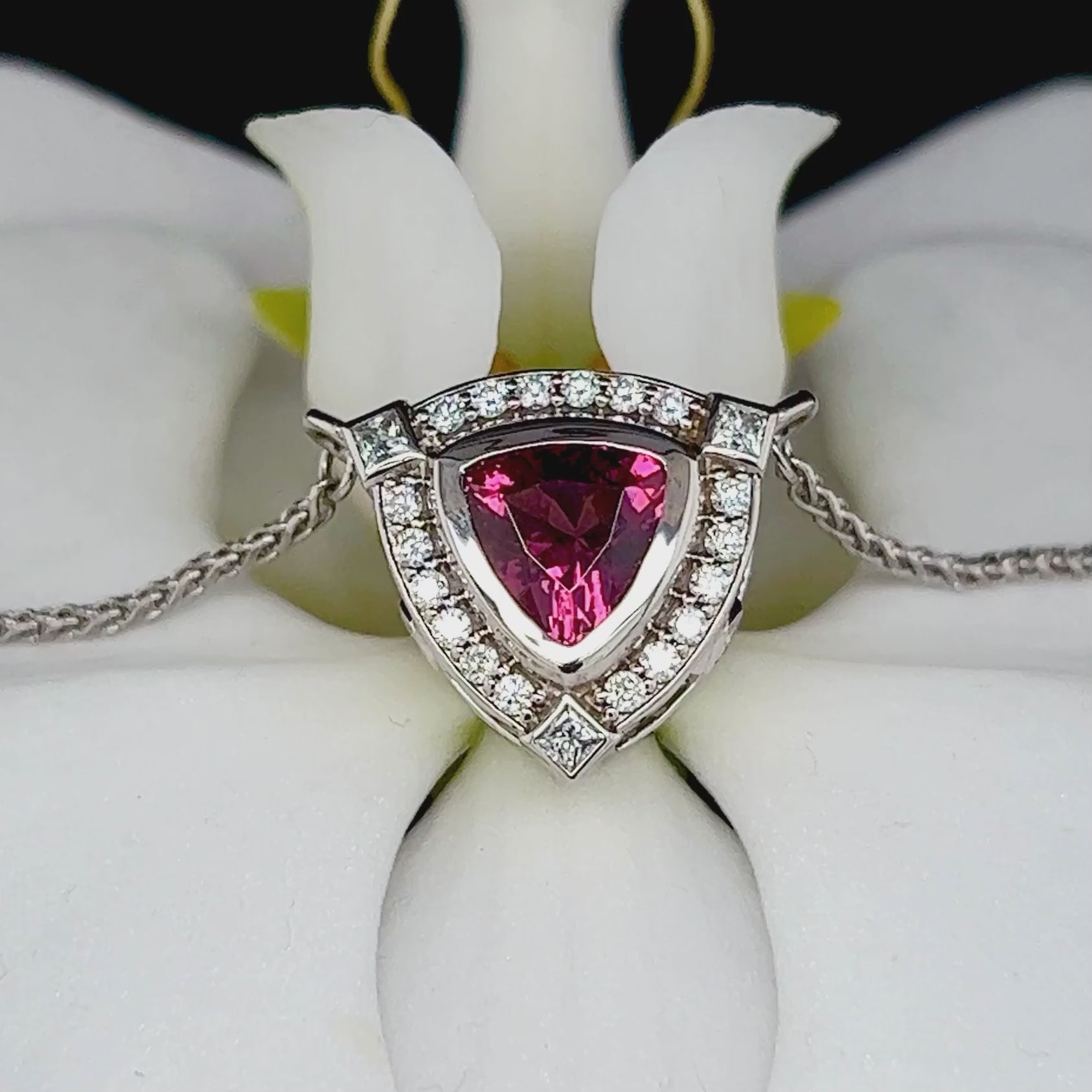 Mahenge Garnet set in 14 k White Gold Chain – Robin Callahan Designs