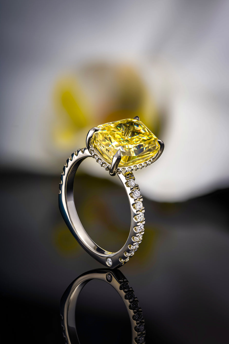 Products – Robin Callahan Designs